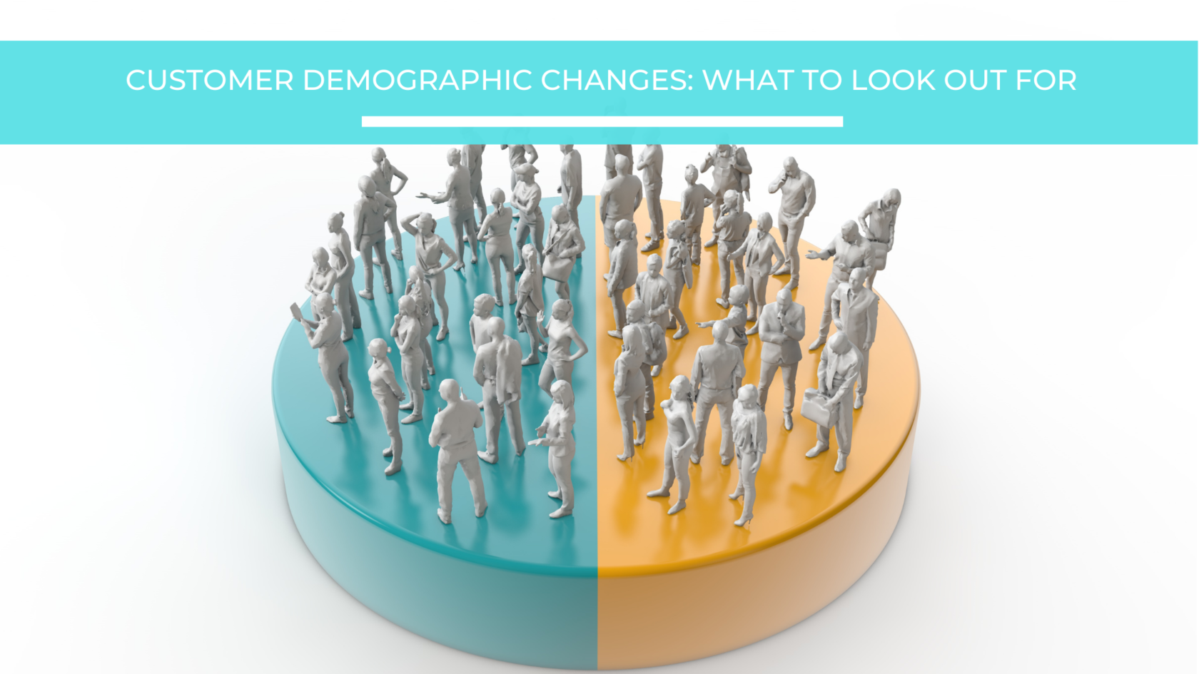 Customer Demographic Changes: What to look out for - TrackIn